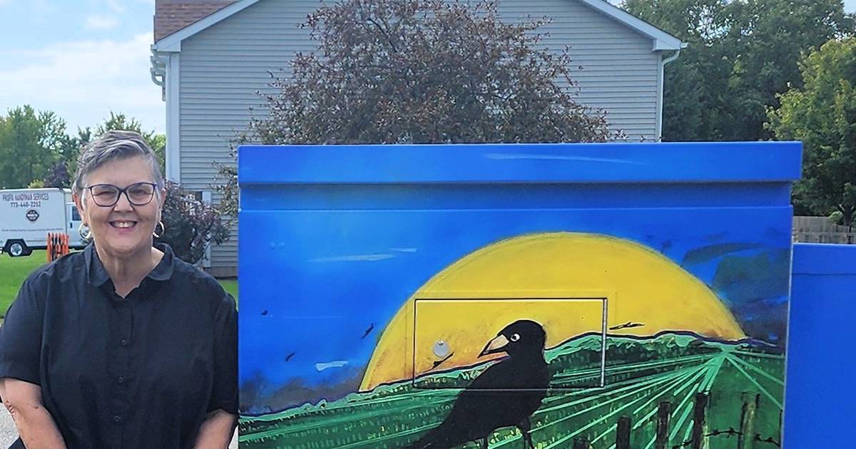 DeKalb artists plug into their creativity with utility box murals ...