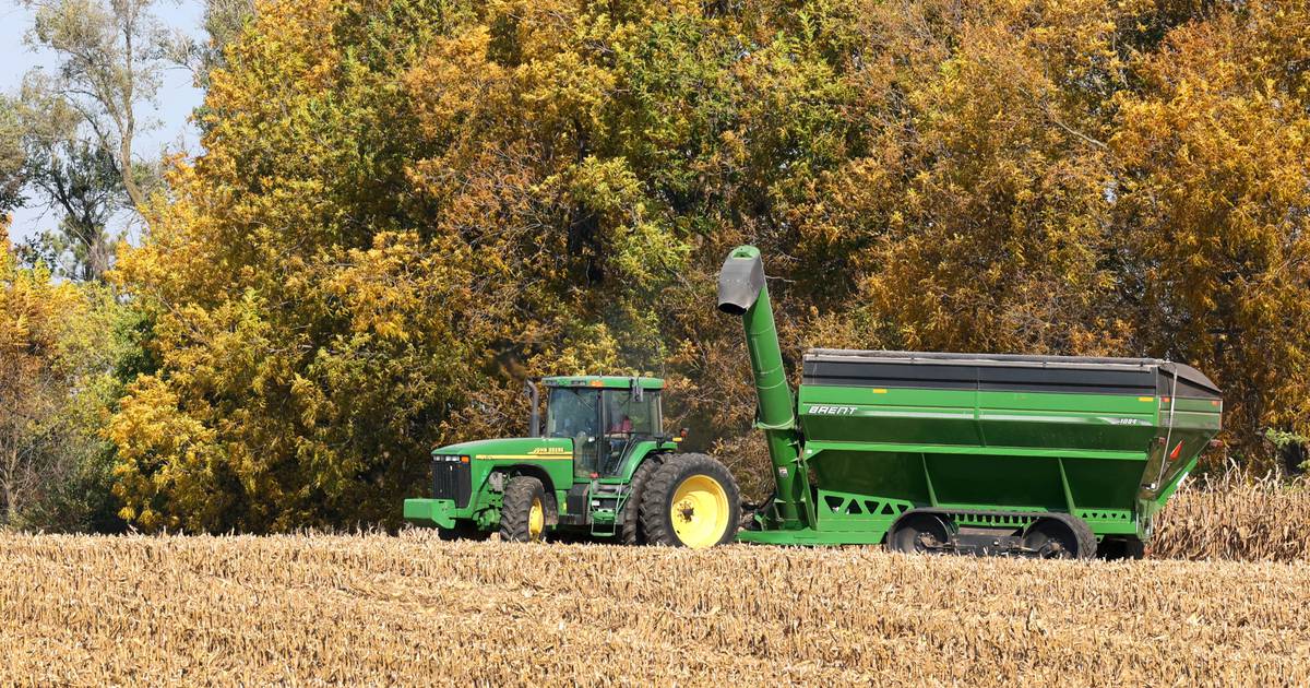 Plote: AI on the farm and beyond – Shaw Local