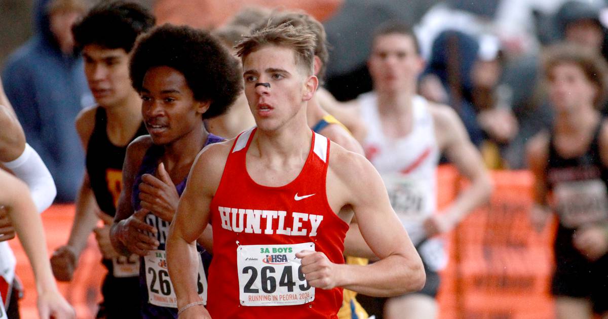 Huntley’s Tommy Nitz ends high school career with 11th-place medal at ...