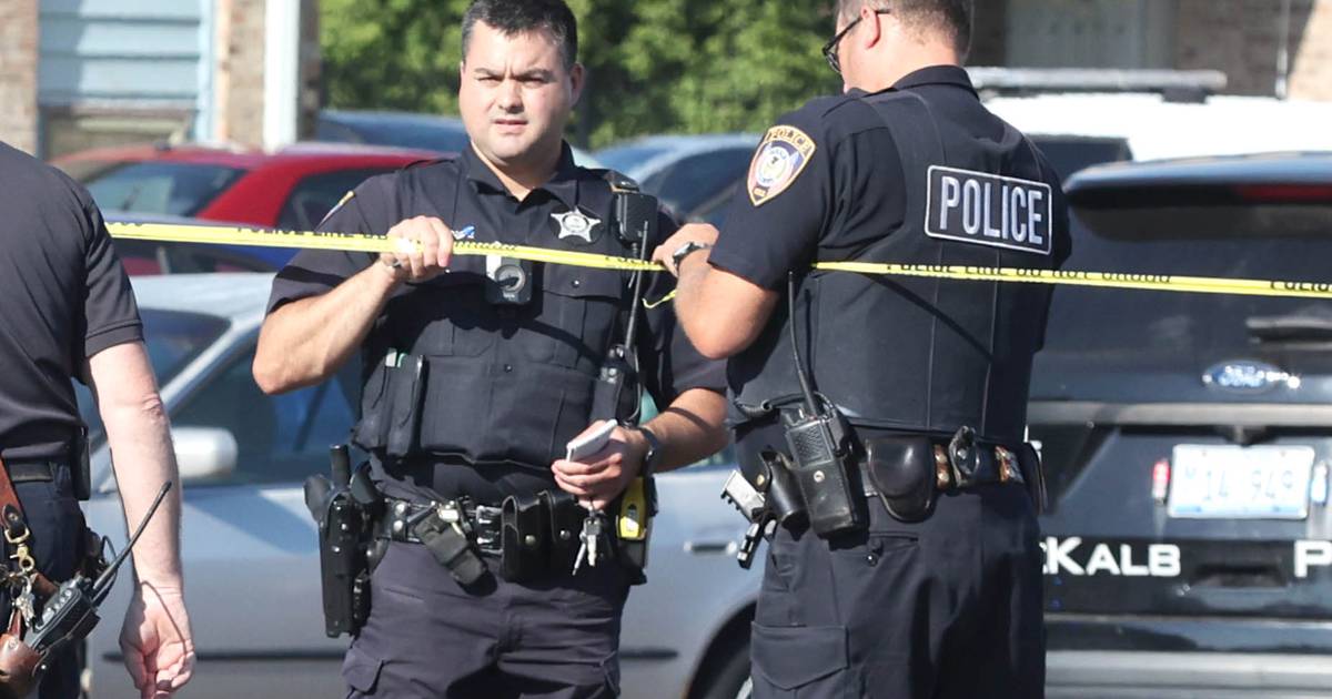 DeKalb Police Department awarded $7.6K state grant to target non ...