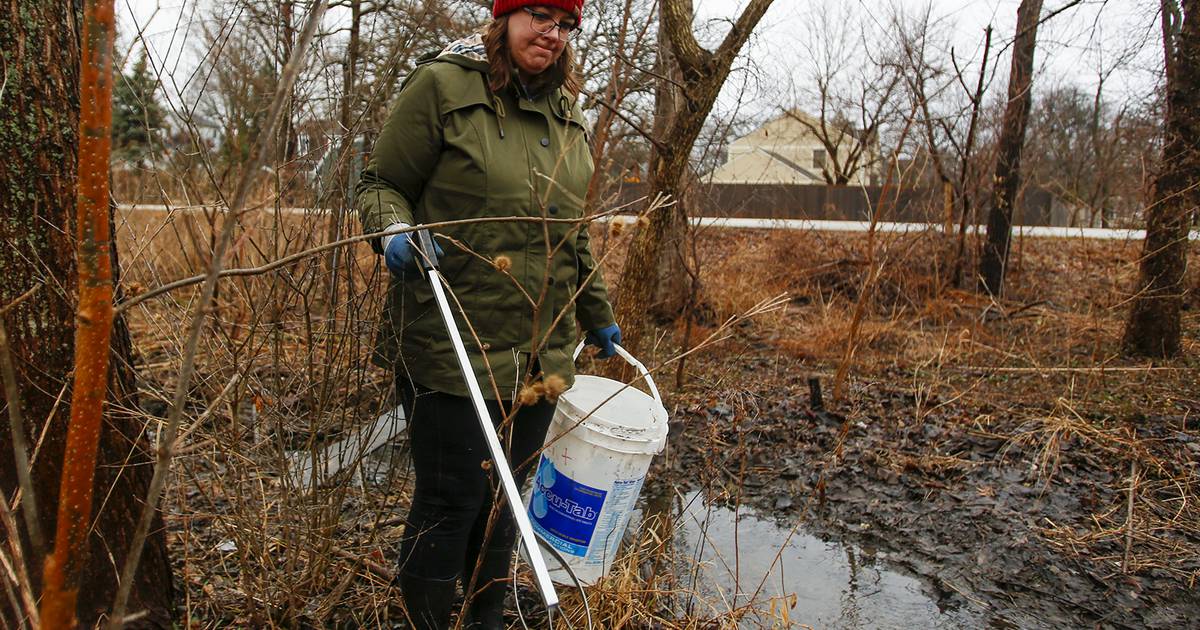 Photos: Ackerman Park clean-up in Glen Ellyn – Shaw Local