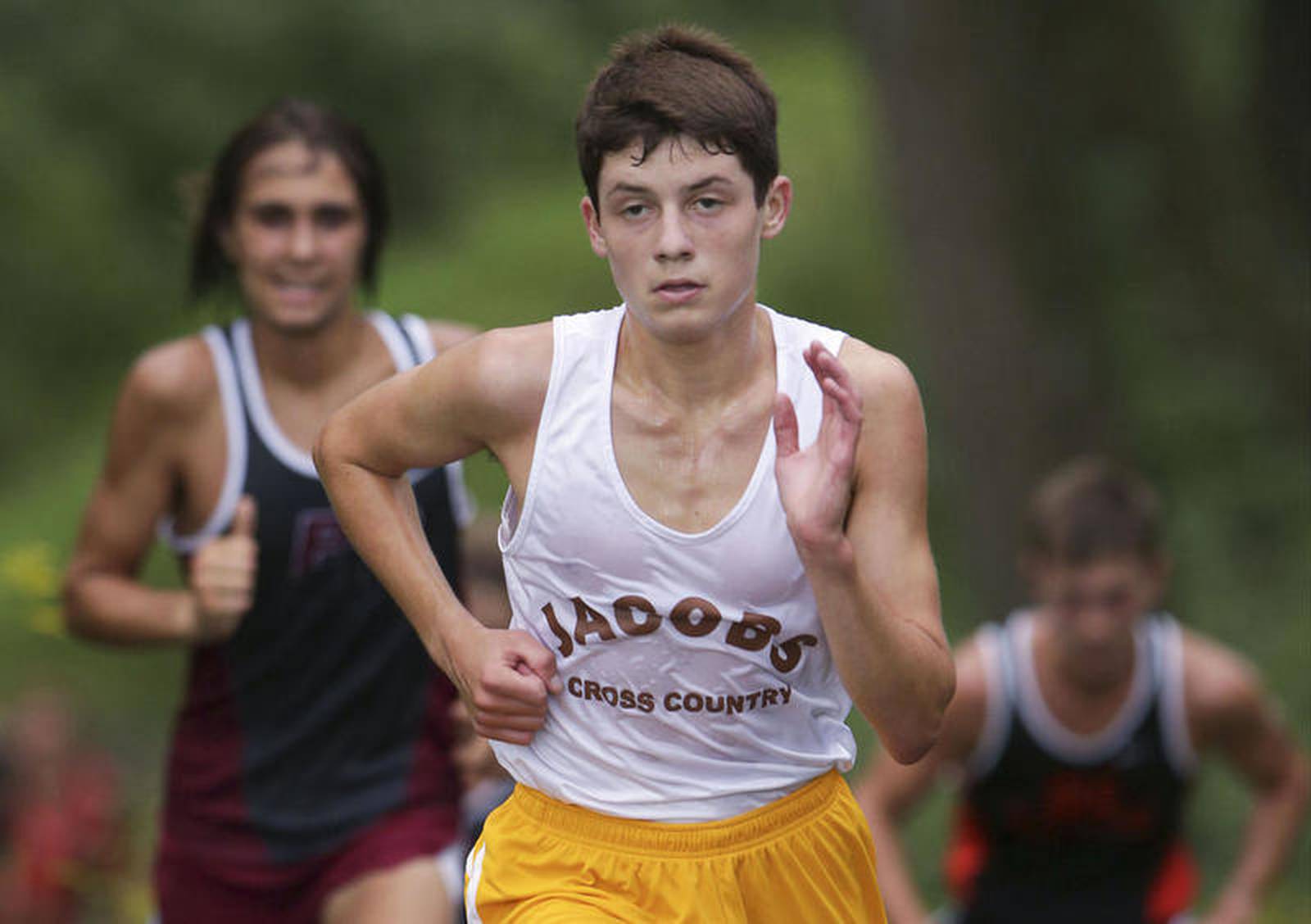 High school boys cross country: 2017 team preview capsules – Shaw Local