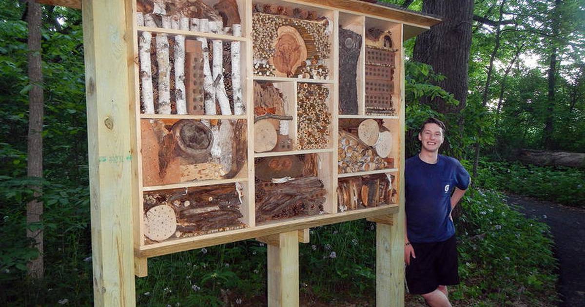 Genoa Boy Scout builds native pollinator house – Shaw Local