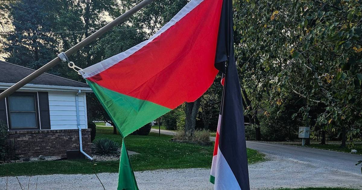 Lockport Township couple seeks answers on ripped Palestinian flag ...