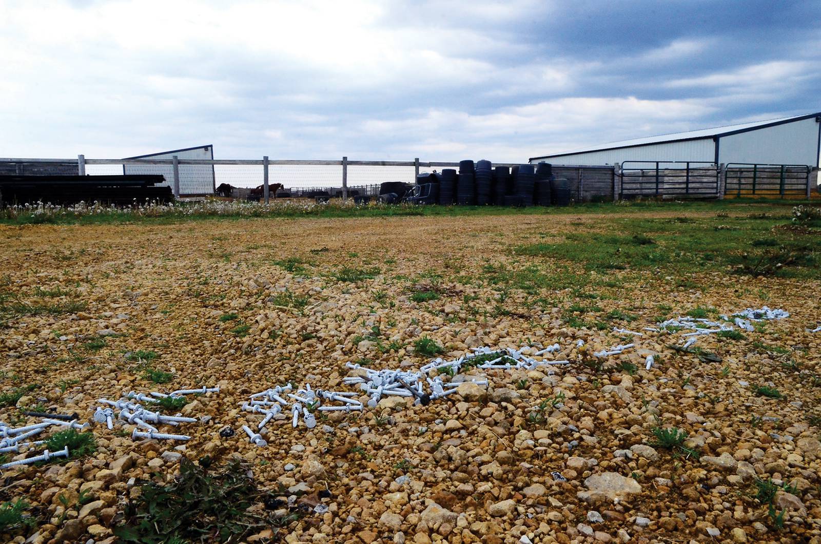 Biden commutes prison sentence of Rita Crundwell, former comptroller ...