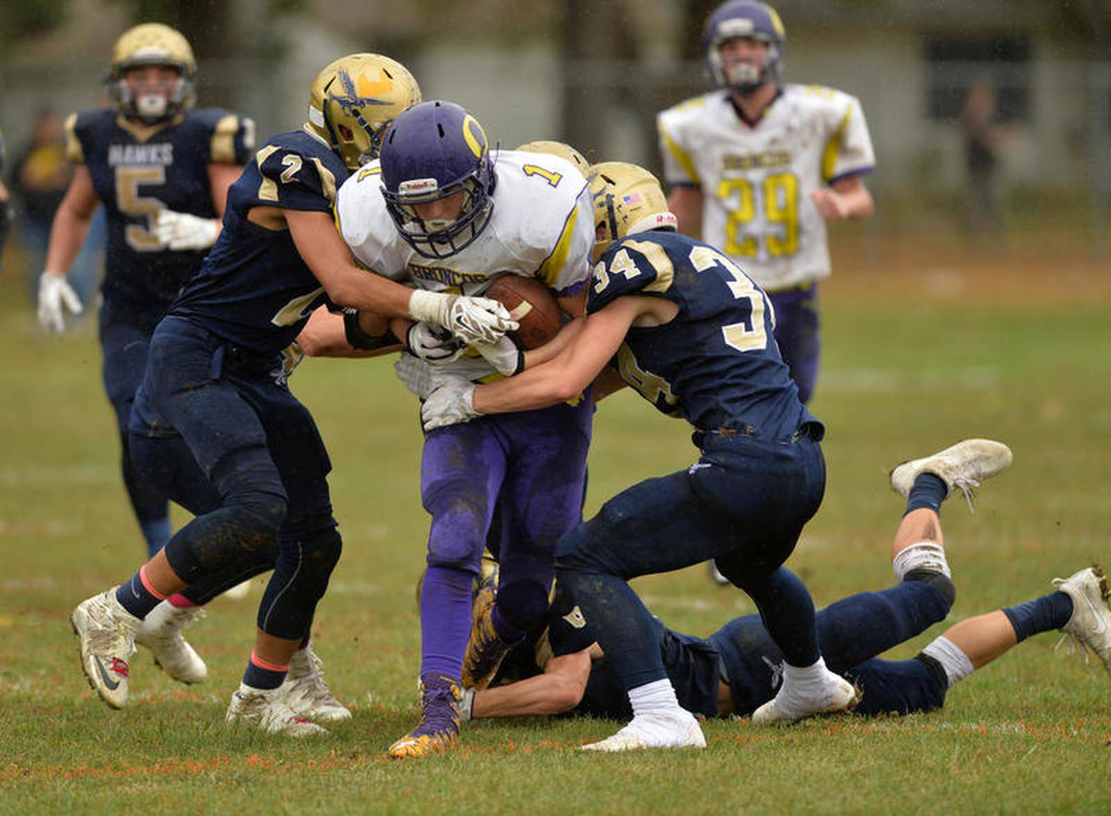 Hiawatha falls to Orangeville – Shaw Local