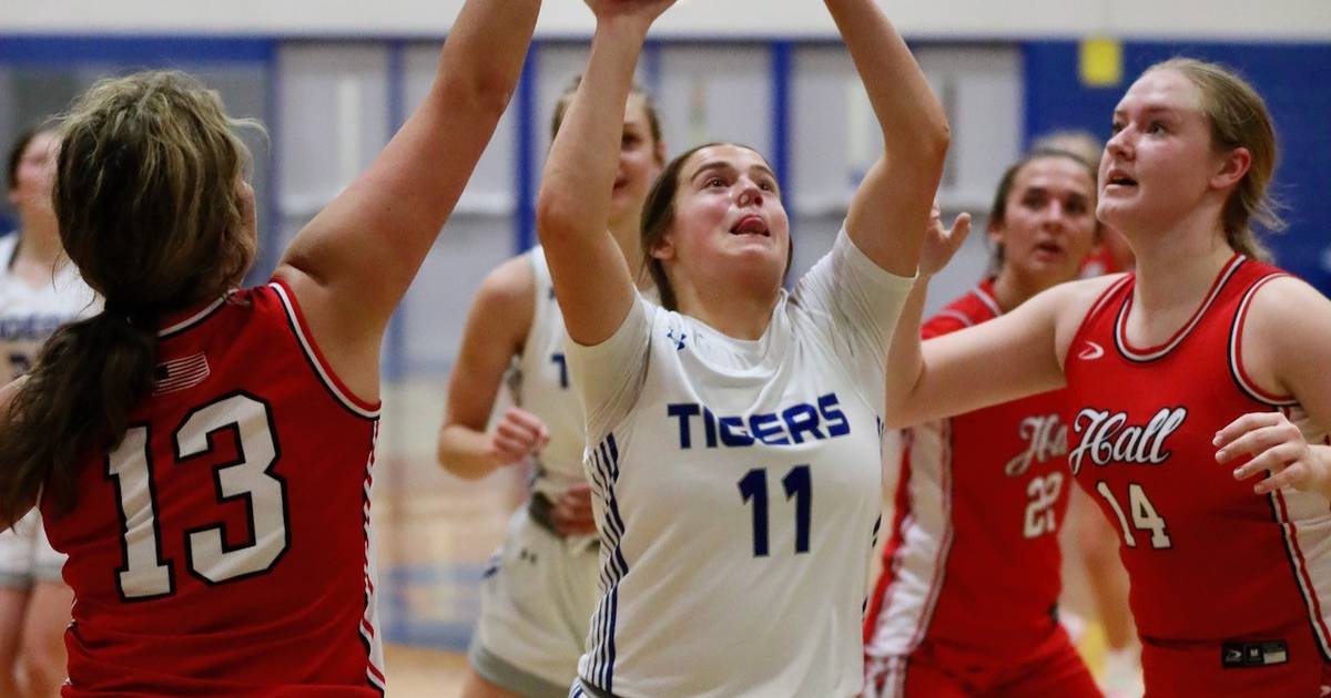 Girls basketball: Camryn Driscoll, Princeton shoot past Hall into first ...