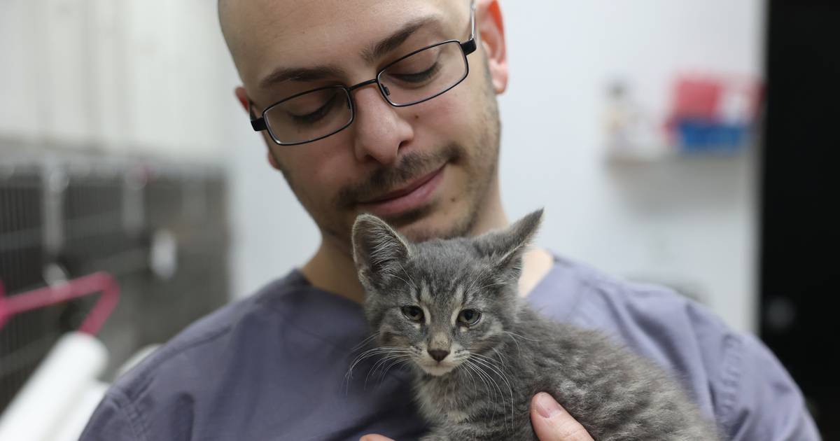 Joliet animal hospital helping displaced pets in Ukraine – Shaw Local