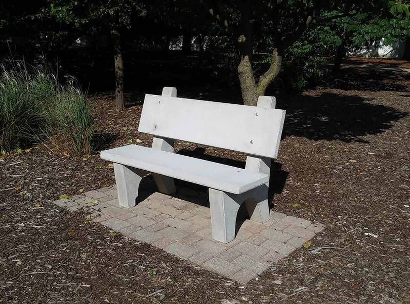 Joliet Junior College group dedicating bench to remember suicide ...