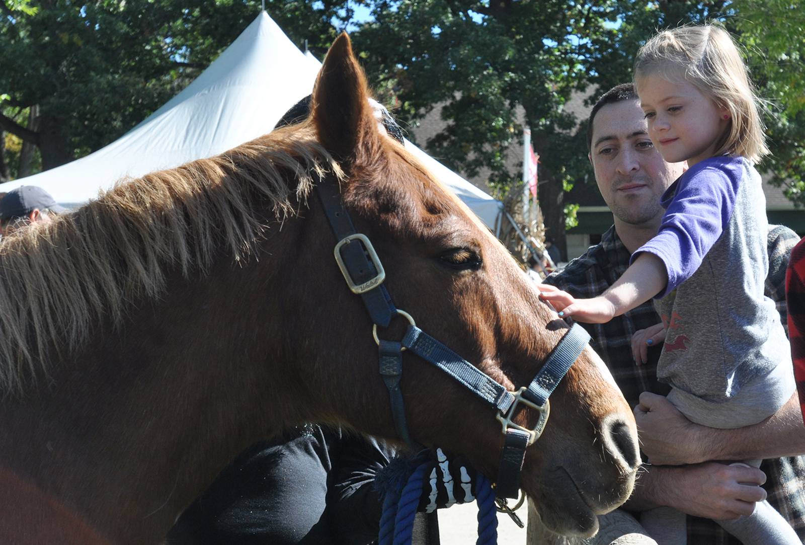 Two-day Fall Festival at Danada to return to Wheaton – Shaw Local