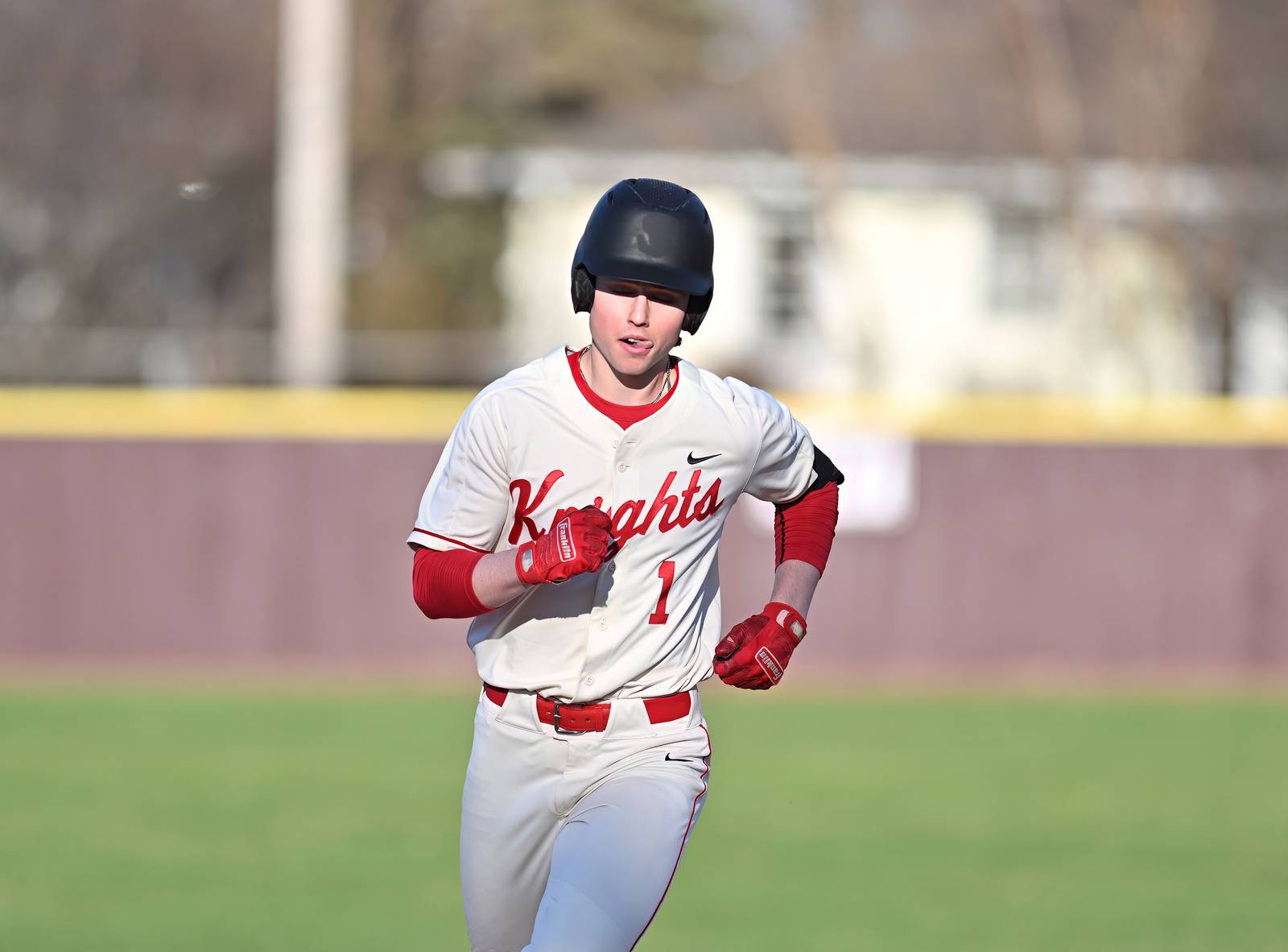 Baseball: Collin Mowry walks it off for Lincoln-Way Central – Shaw Local
