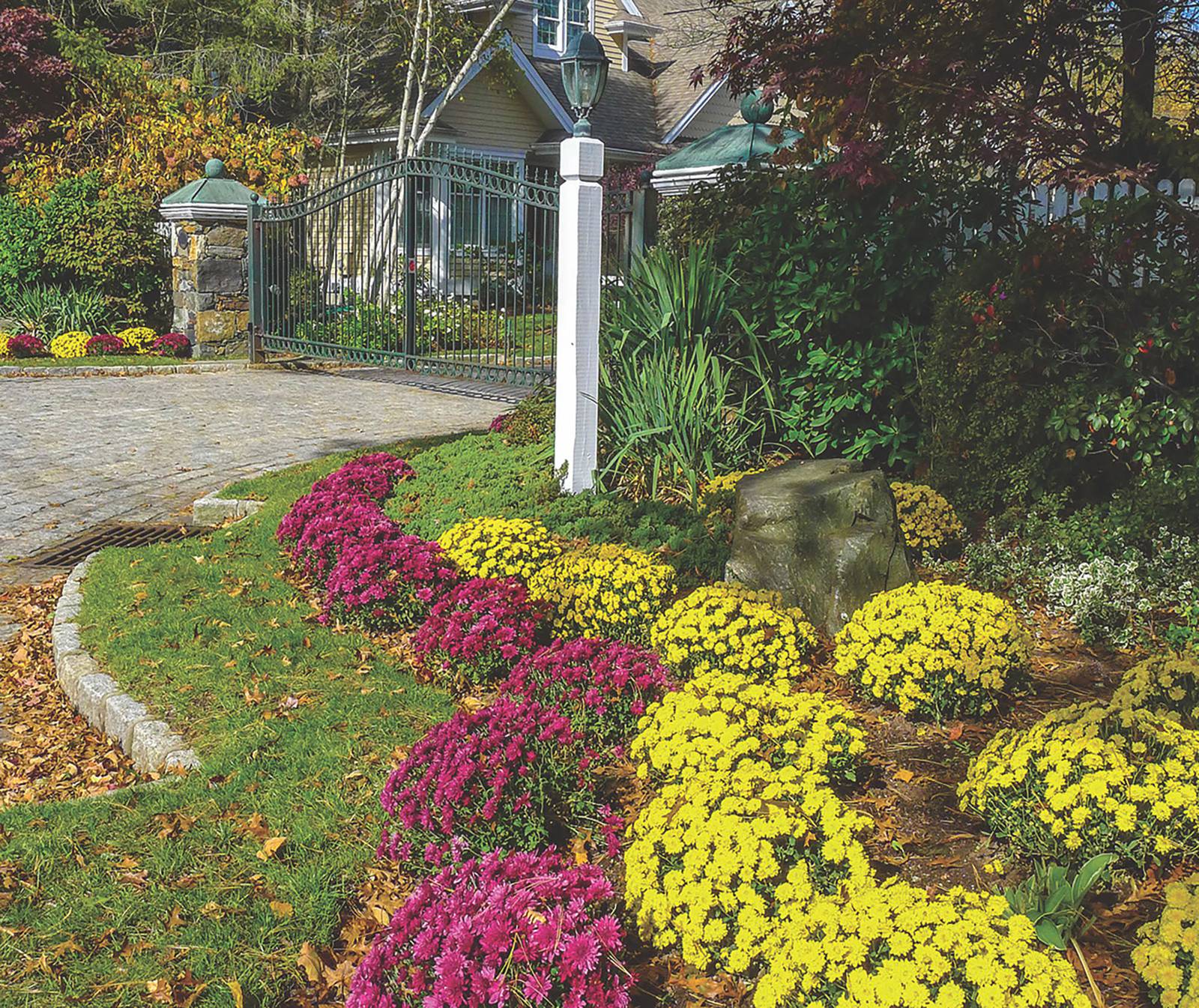 A beginner’s guide to fall planting and maintenance – Shaw Local