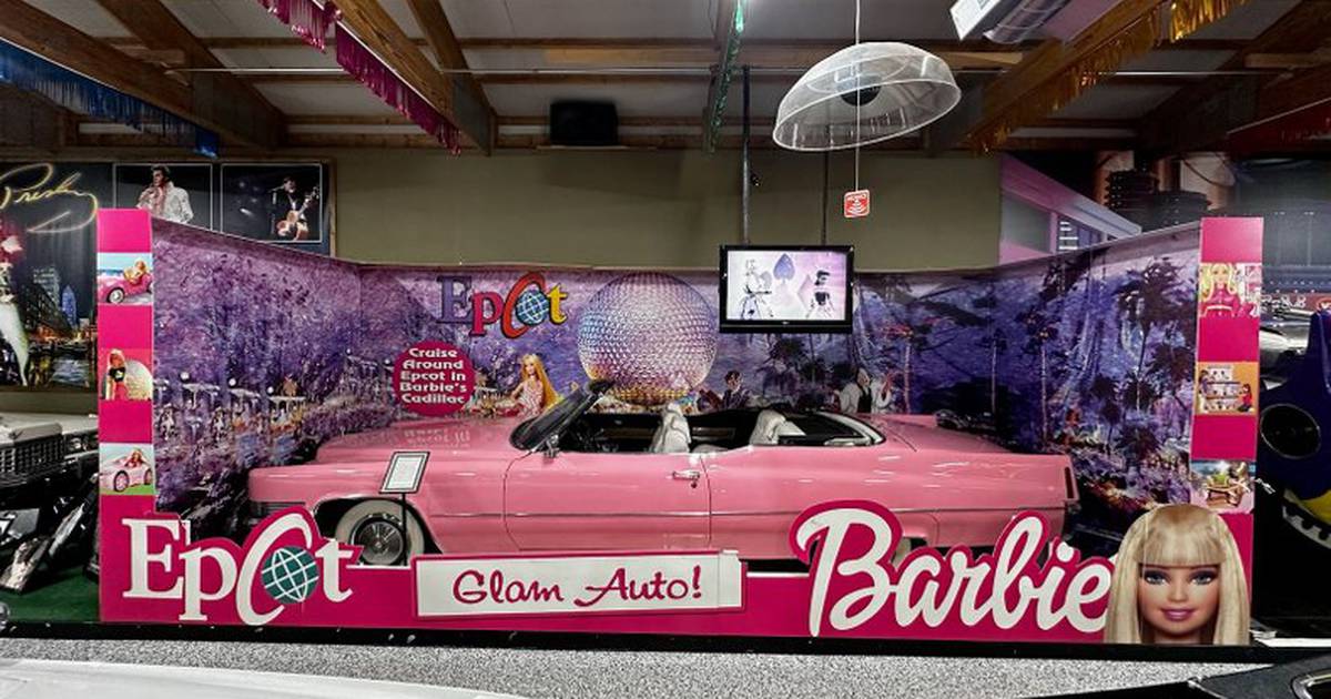 Volo Museum unlocks vault for its wildest, no reserve auction – Shaw Local