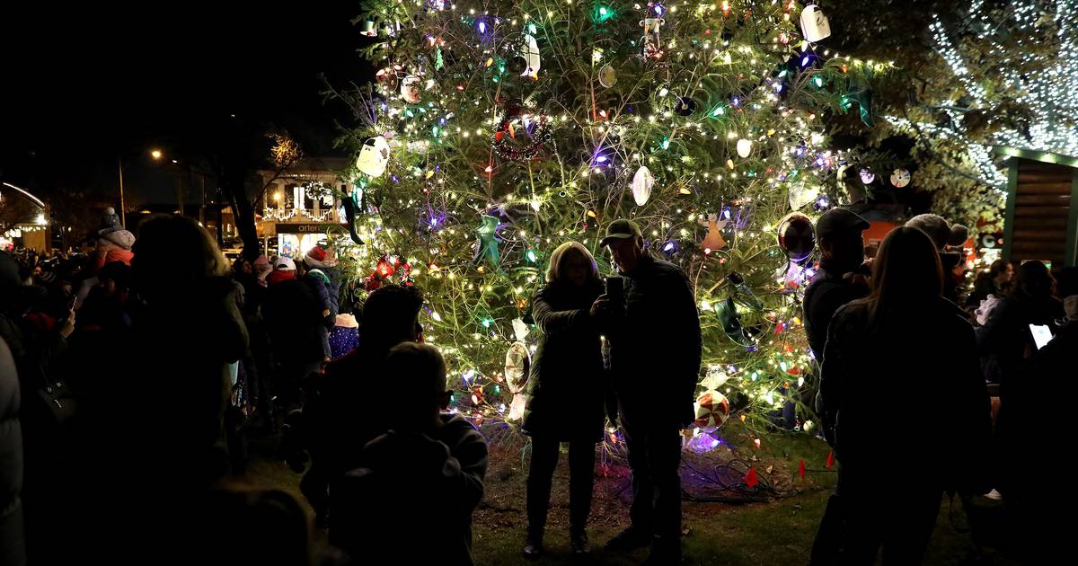 5 Things to Do: Winter Wonder Lights kickoff, Winter Wonderland concert ...