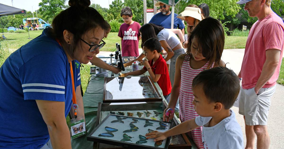 Isle a la Cache in Romeoville to host native plant sale this weekend ...