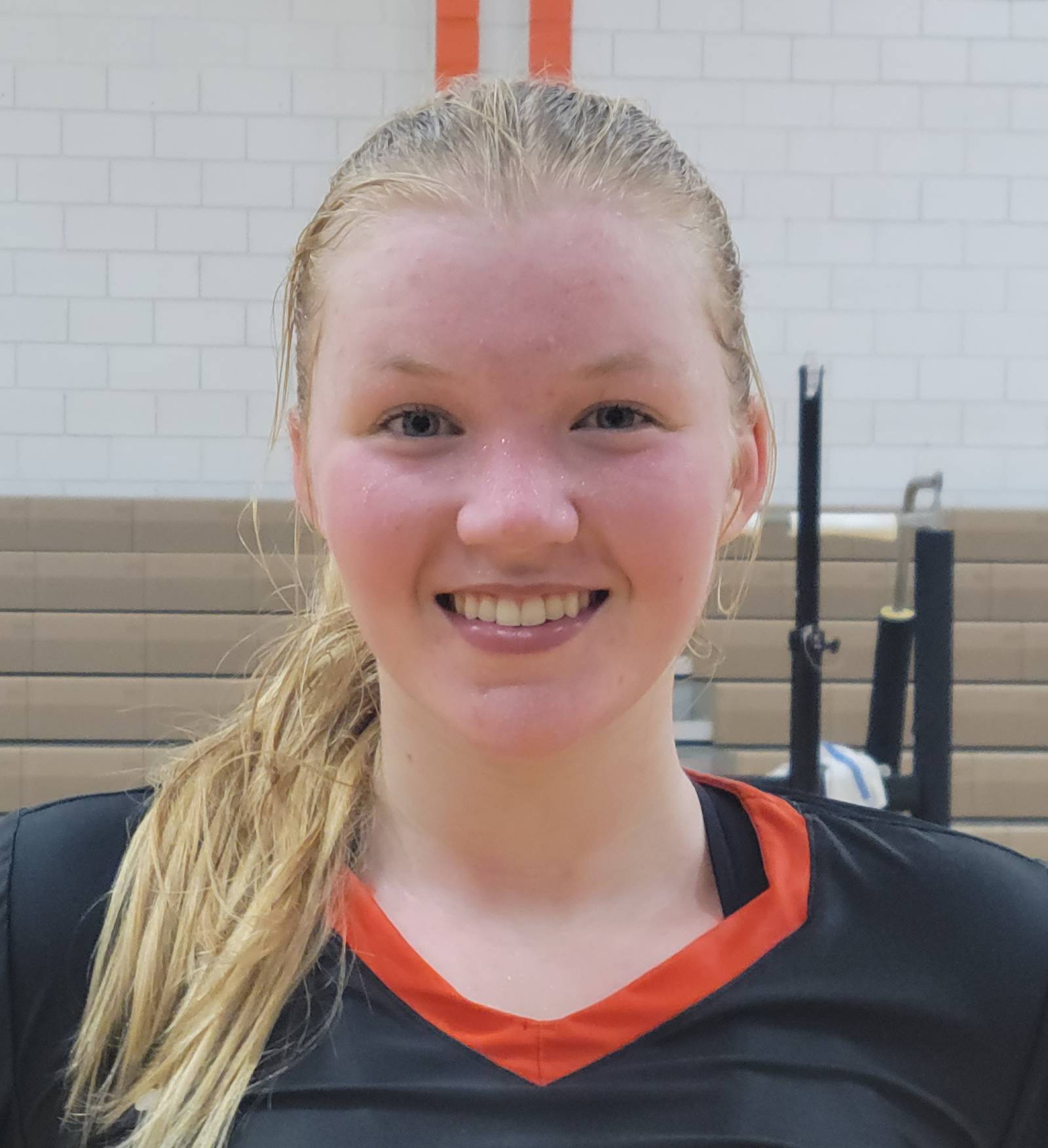 Girls volleyball: Grace Zimmerman helps serve Flanagan-Cornell to ...