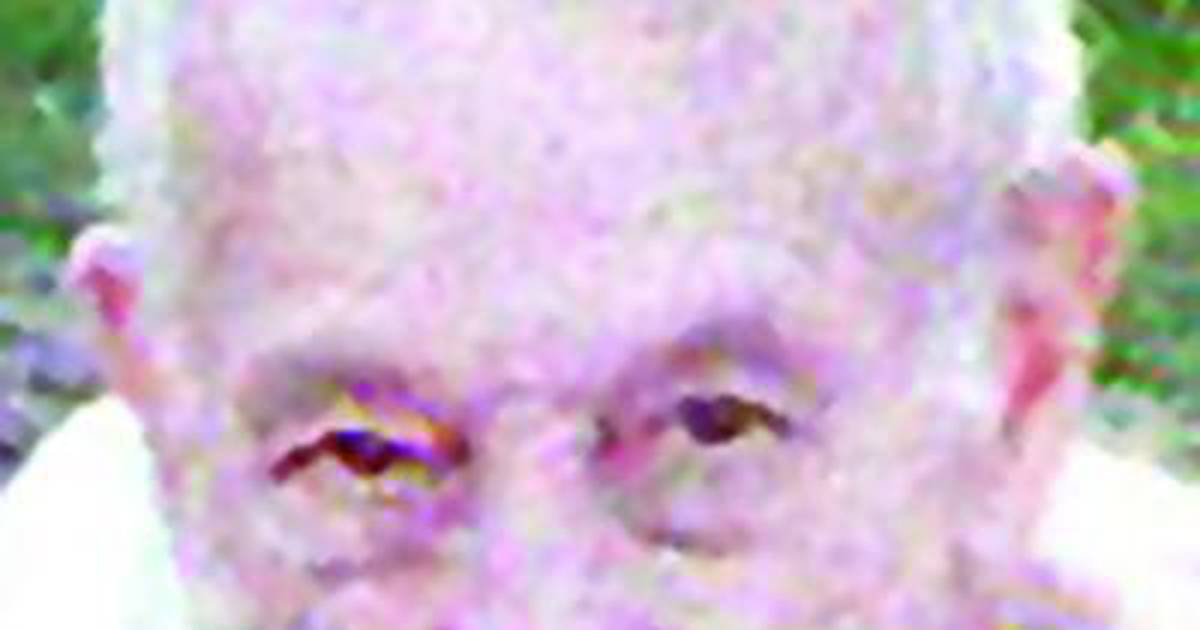 George E. Helfrich Sr. – Shaw Local