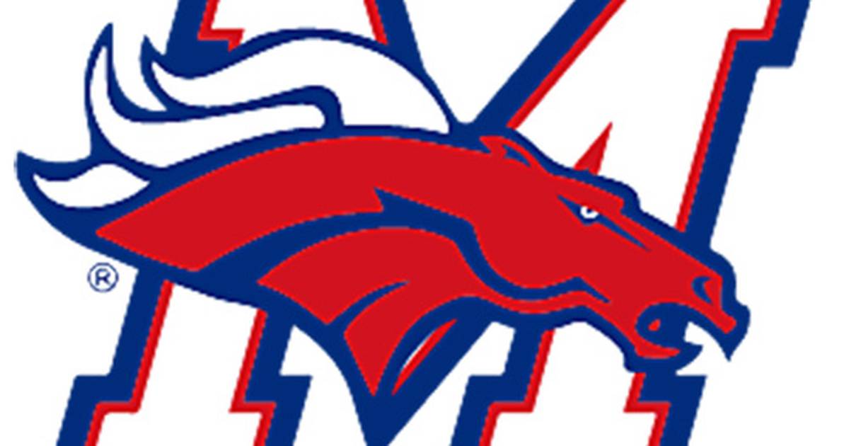 Morrison rally falls short in TRAC Rock loss to Sherrard – Shaw Local