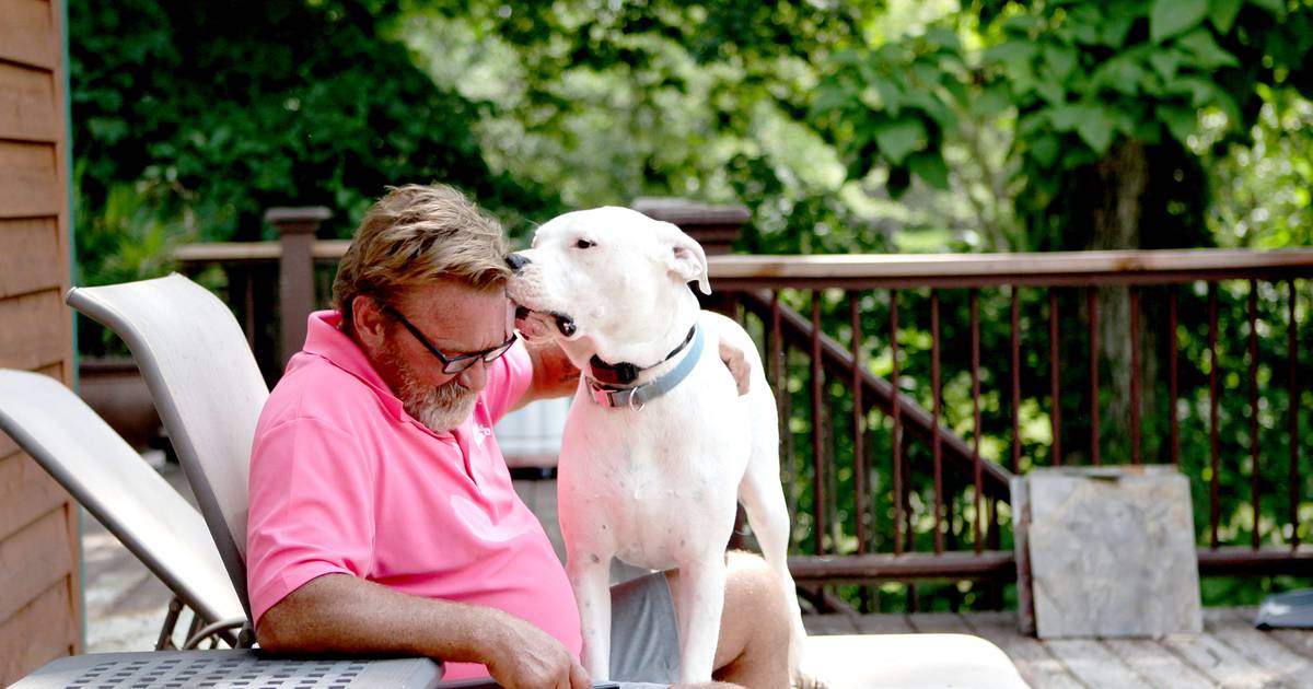 Lawsuit filed in 2021 Wayne dog shooting that sparked ‘Justice for ...