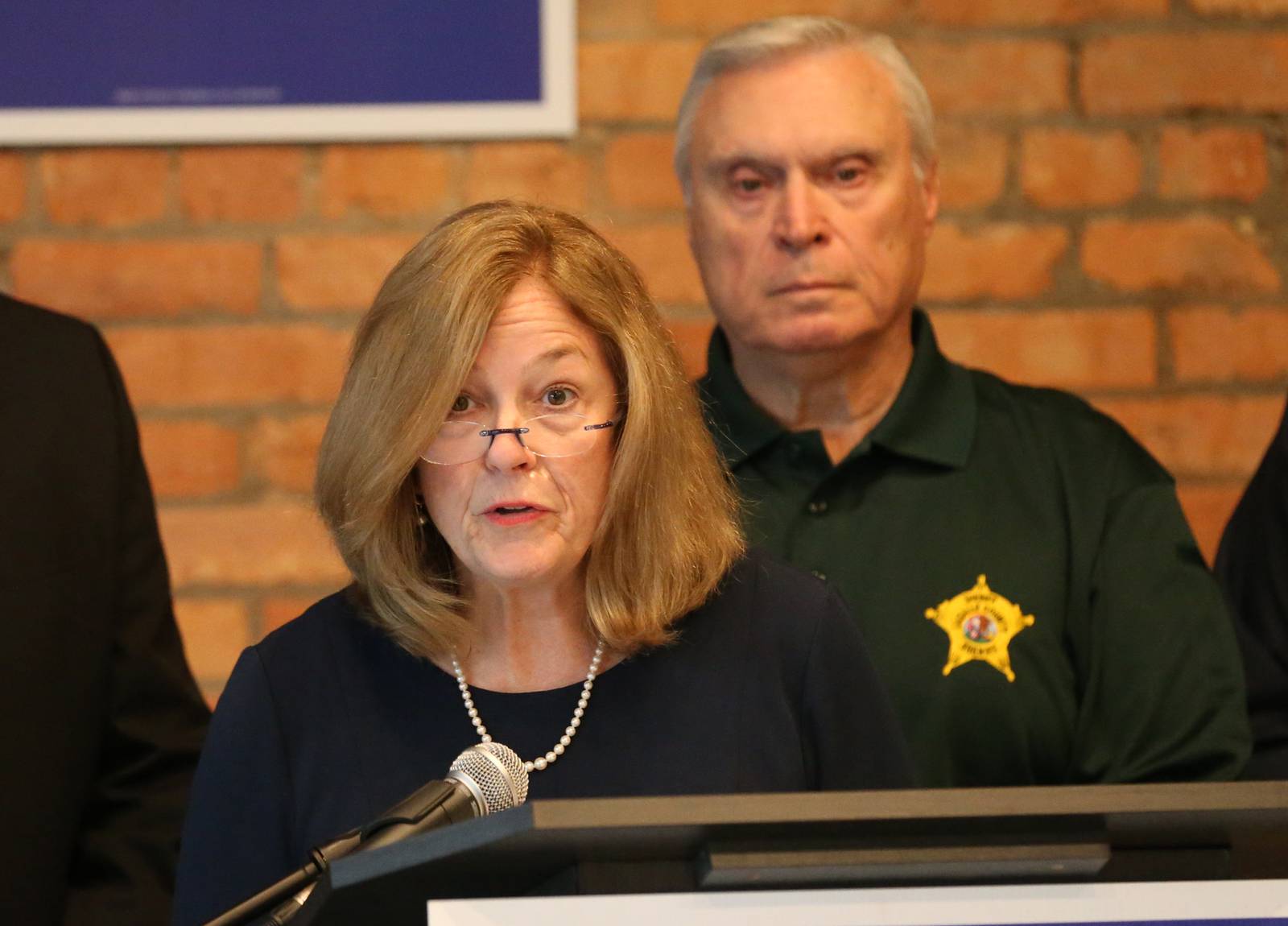 State representative candidate Liz Bishop pledges to seek repeal of SAFE-T Act – Shaw Local