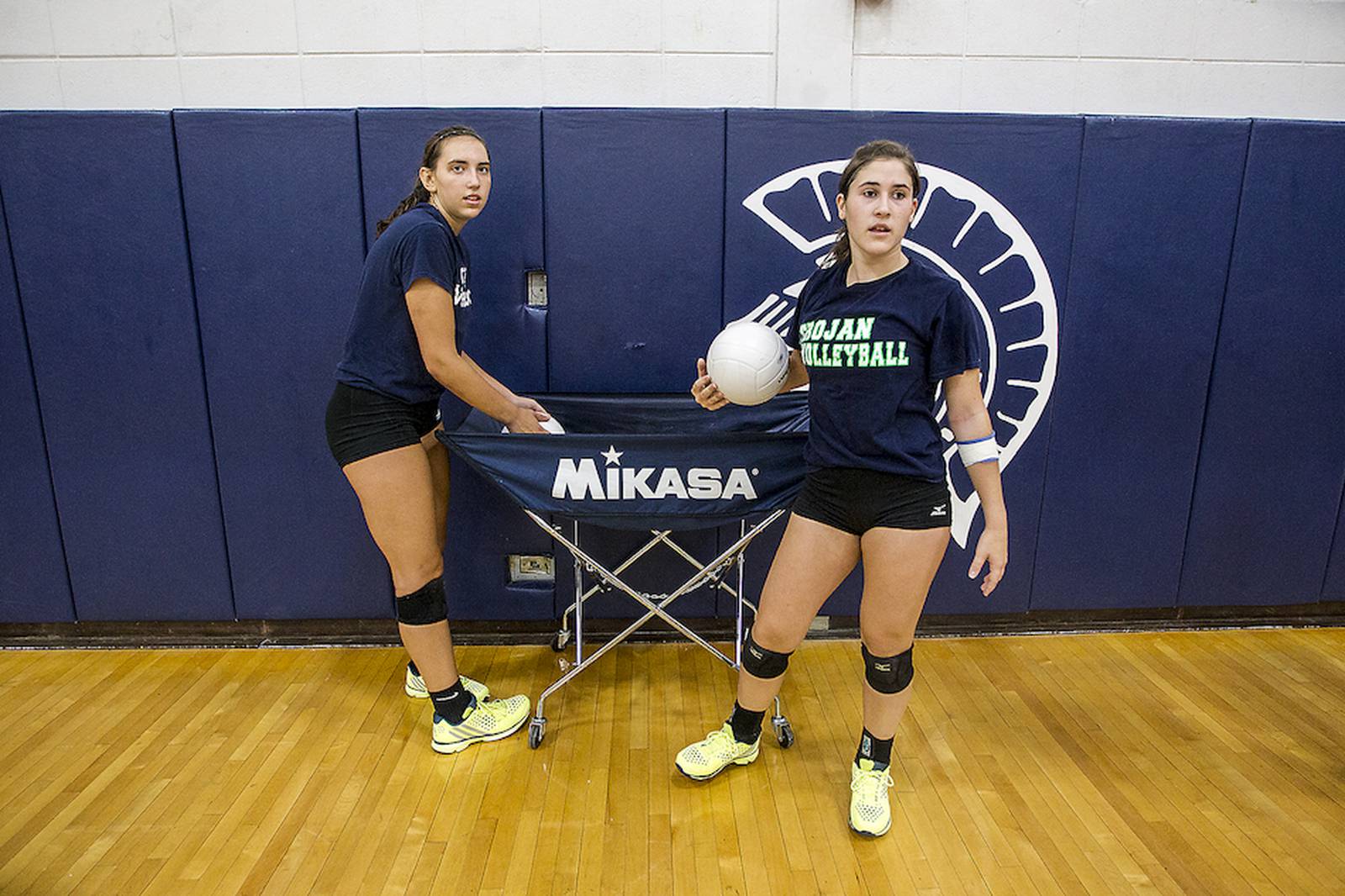 High school girls volleyball: 2015 team preview capsules – Shaw Local