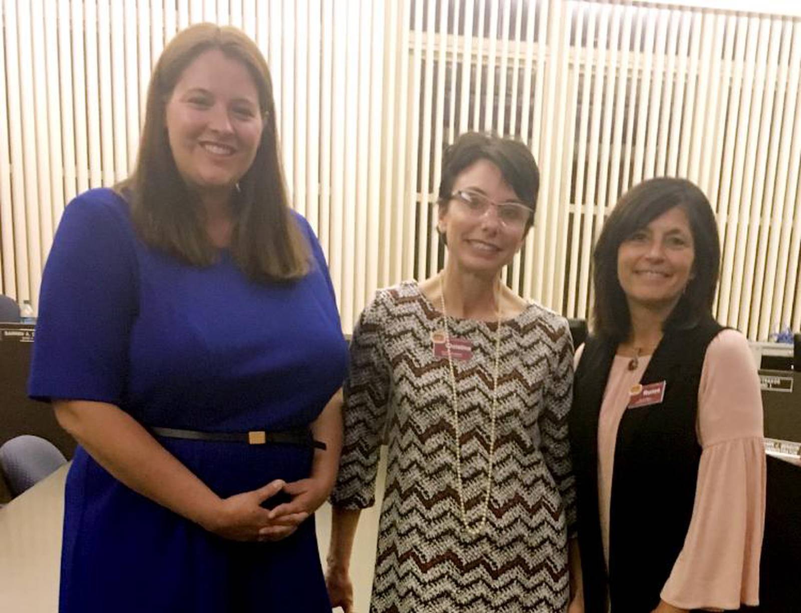 3 new alderwomen join Lockport council – Shaw Local