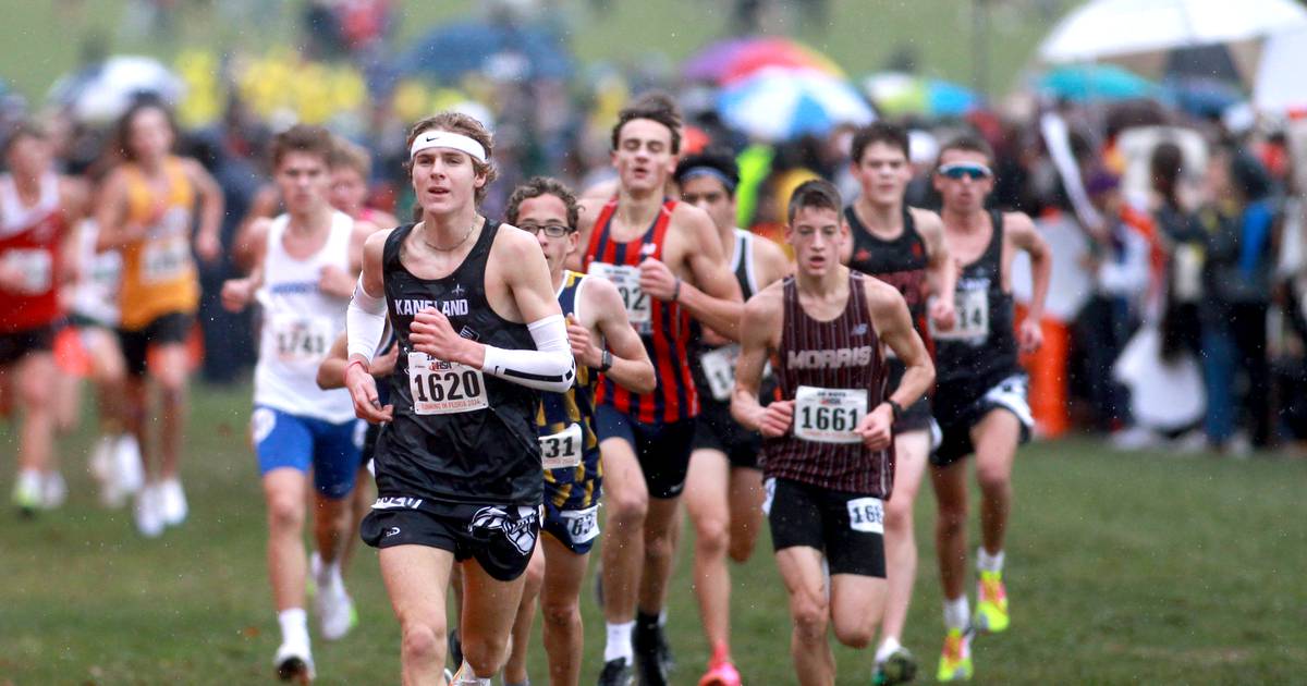 Kane County Chronicle 2024 boys cross country All-Area team – Shaw Local