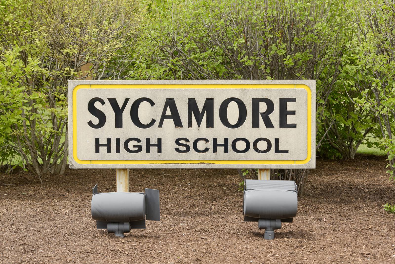 Sycamore Education Foundation names 2021 Distinguished Alumni – Shaw Local