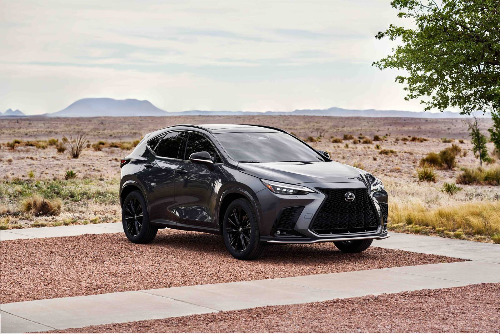 Lexus plug-in package elevates NX 450h+ – Shaw Local