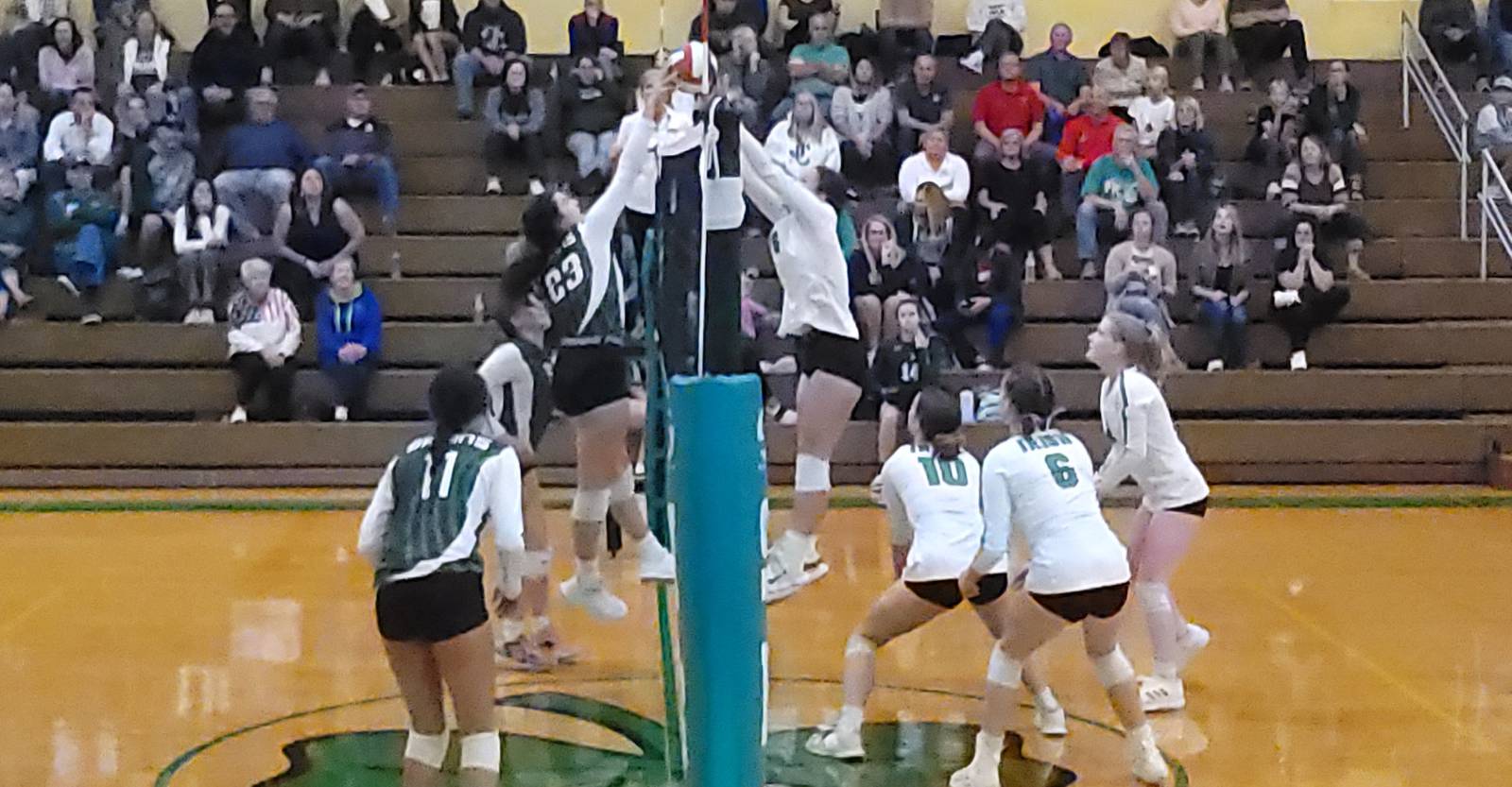 Volleyball: Defense helps Seneca overcome pesky St. Bede – Shaw Local