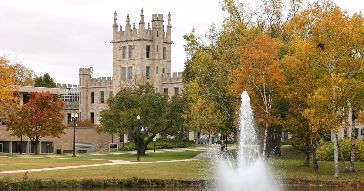 Leaf-ing an impact: NIU to plant hundreds of trees – Shaw Local