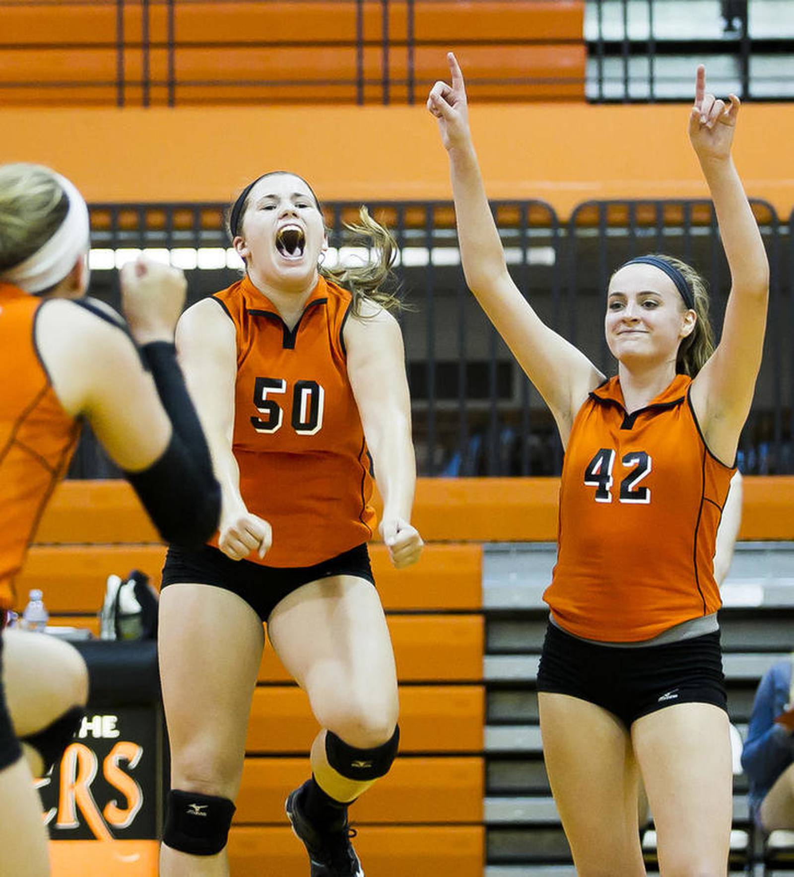 High school volleyball: 2017 team previews – Shaw Local