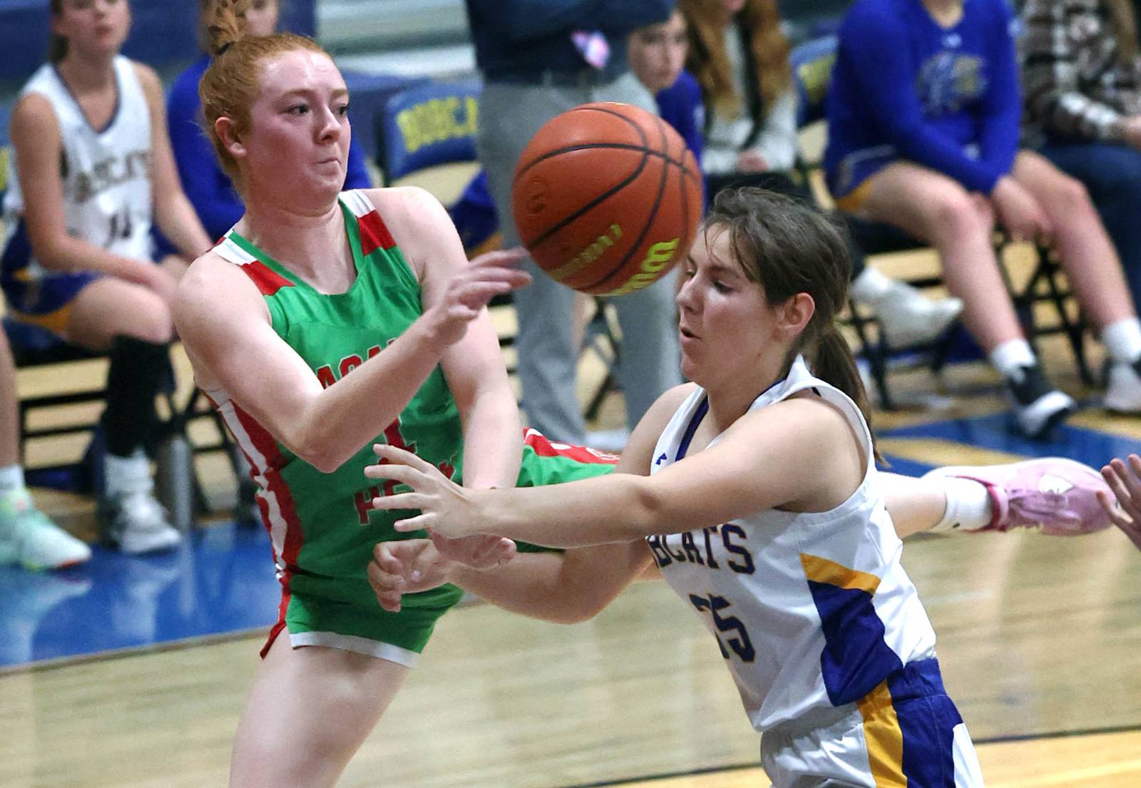Photos: Somonauk girls basketball meets La Salle-Peru in Tim Humes ...