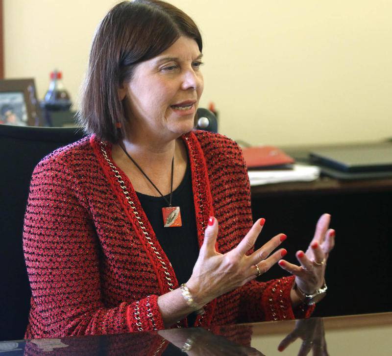 Lisa Freeman announces candidacy for NIU president – Shaw Local