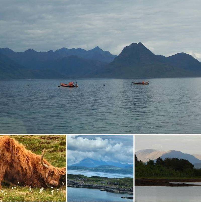 Susan Schubert is the artist of the month at Geneva Public Library ...