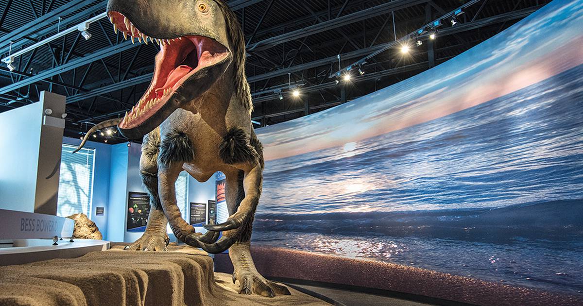 Dunn Museum reopens with limited hours – Shaw Local