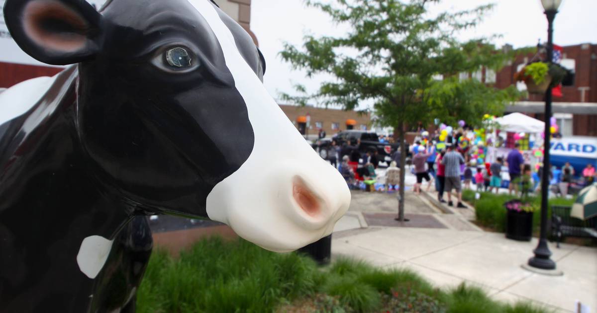 What to know about Harvard Milk Days, opening Friday – Shaw Local