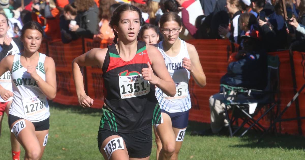 2023 NewsTribune Girls Cross Country All-Area Team – Shaw Local
