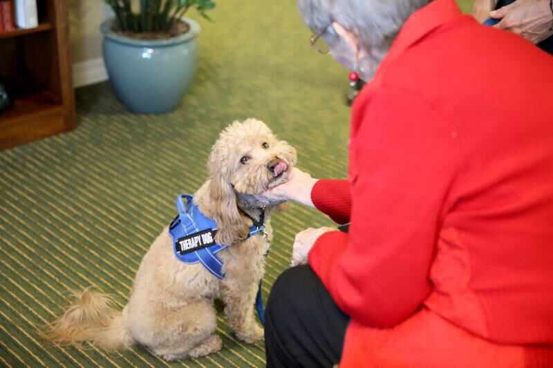 Photos: GreenFields of Geneva introduces therapy dog – Shaw Local