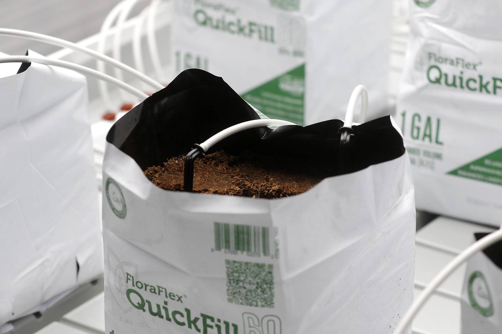 Photos: Oregonix Farms opens new craft grow facility in Huntley – Shaw ...