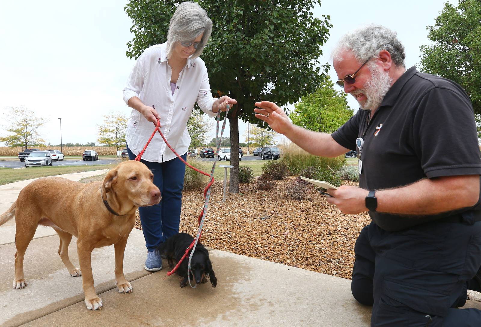 OSF to host blessing of the animals in Ottawa, Streator – Shaw Local