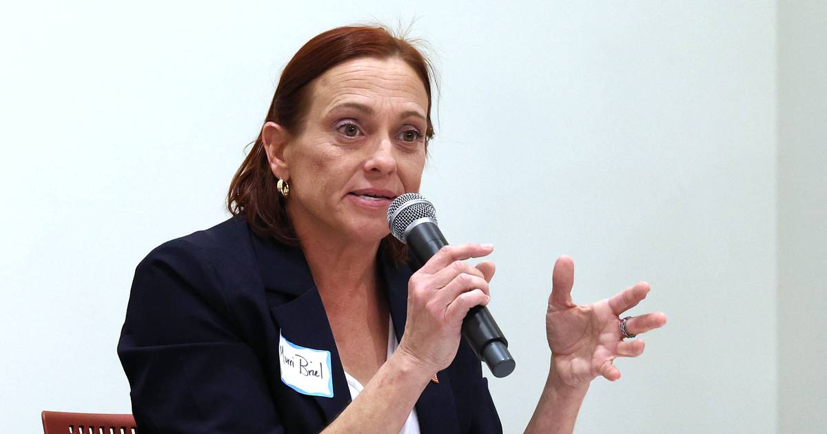 Election 2024 Questionnaire: Amy ‘Murri’ Briel, Illinois House District ...