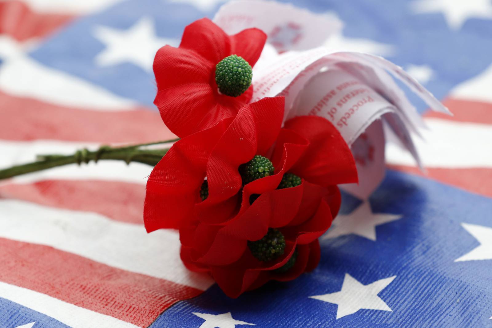 Ottawa gears up for annual Poppy Days to support veterans – Shaw Local