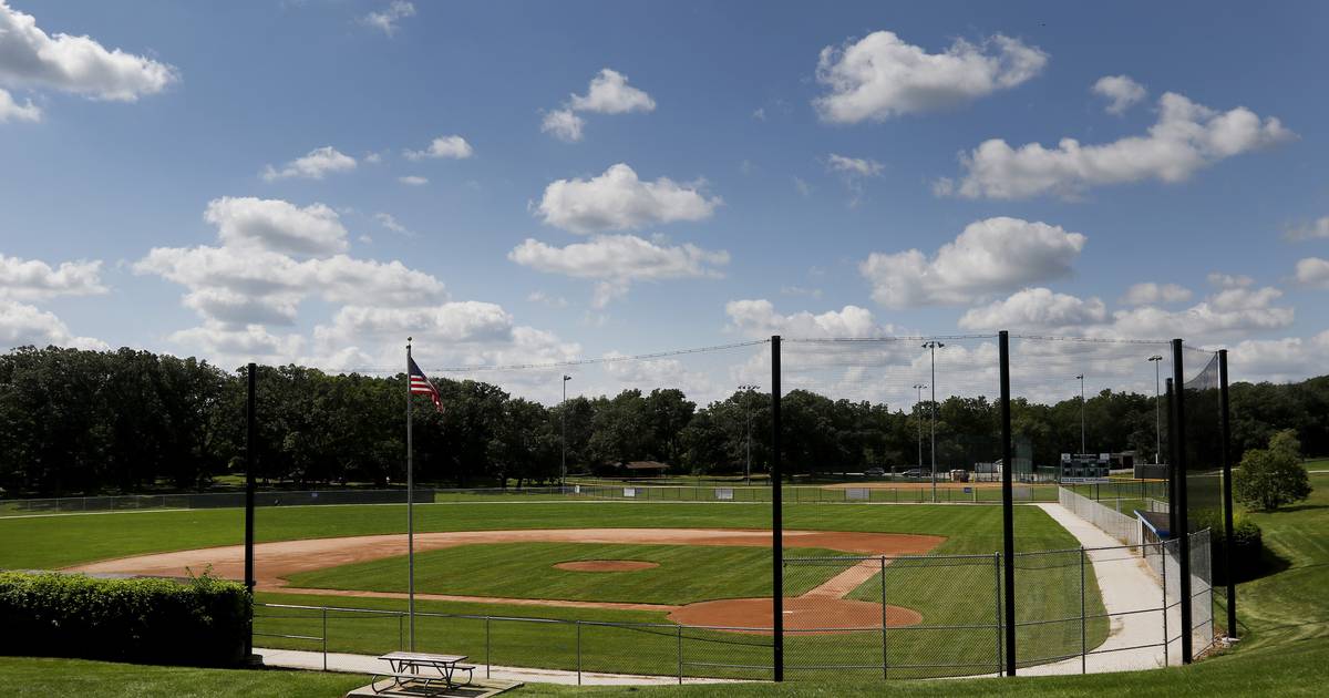 Beyond the postseason: McHenry author pens book on the distant future ...