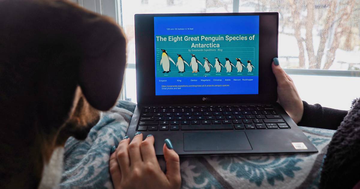 Lifelong Learning Institute finds new opportunities online – Shaw Local