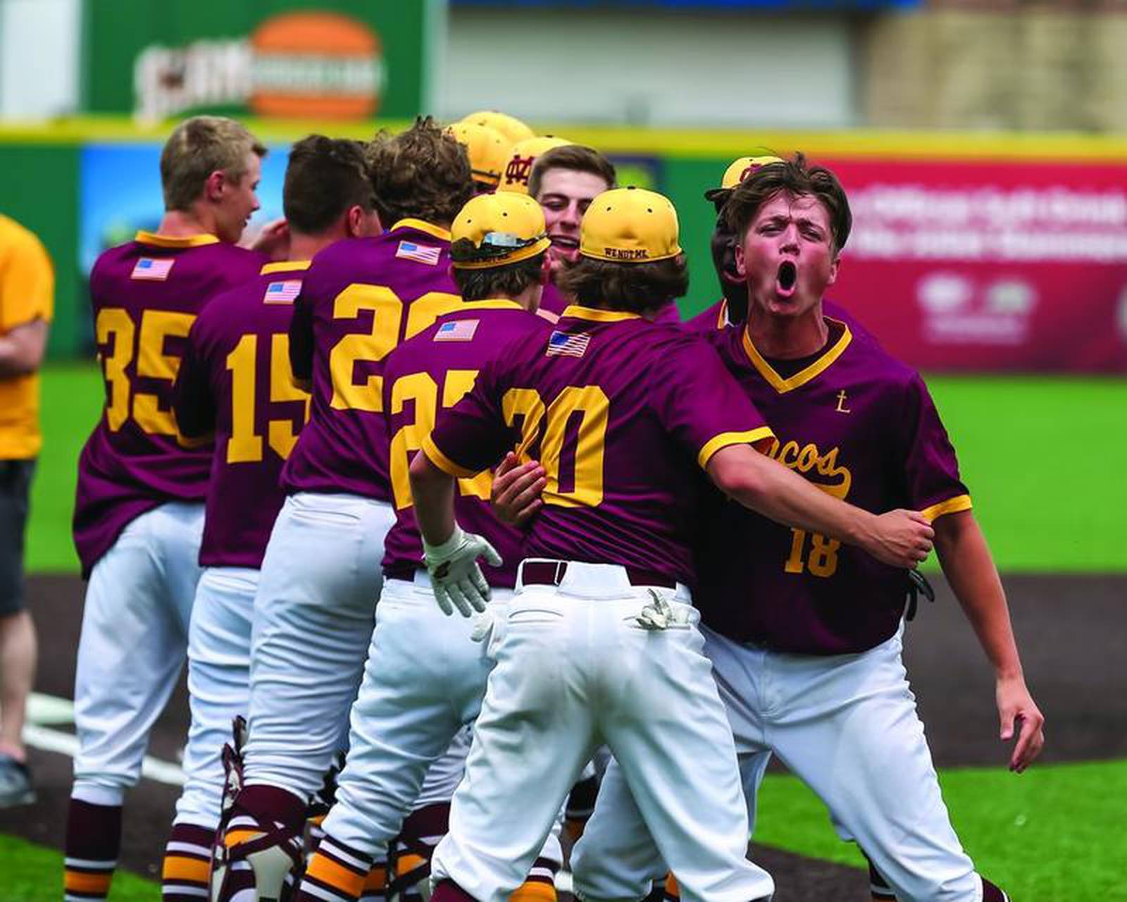 Baseball: Previewing Glenbard East, Glenbard South, Glenbard West, IC ...