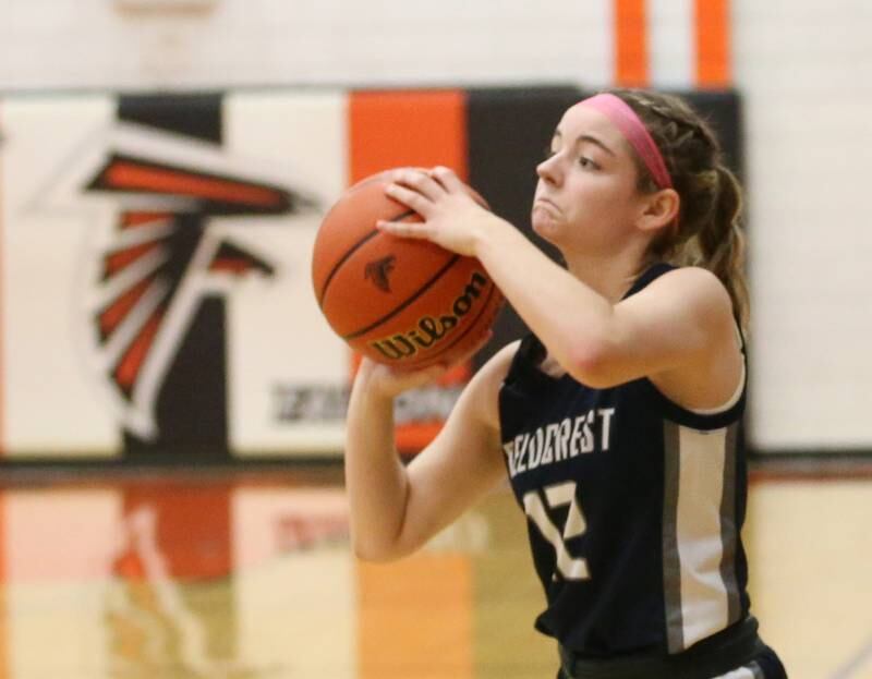 Photos: Fieldcrest vs Marquette Integrated Seed Lady Falcon Basketball ...