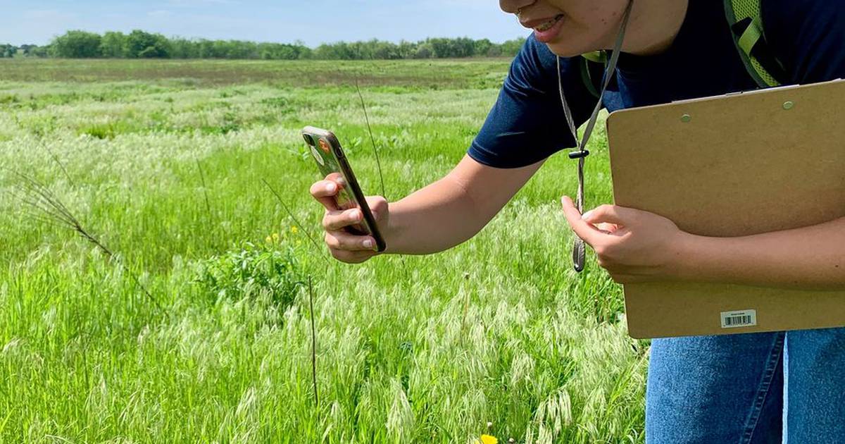 Science training for ‘community scientists’ – Shaw Local