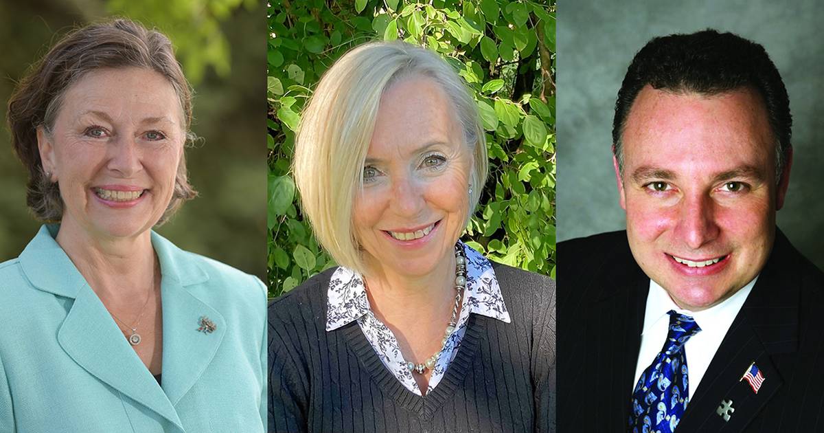 Election 2024: Chaplin wins Democratic nod in three-way race for DuPage ...