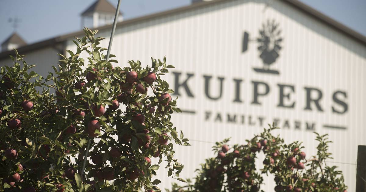 Kuipers Family Farm to host a dinosaur adventure – Shaw Local